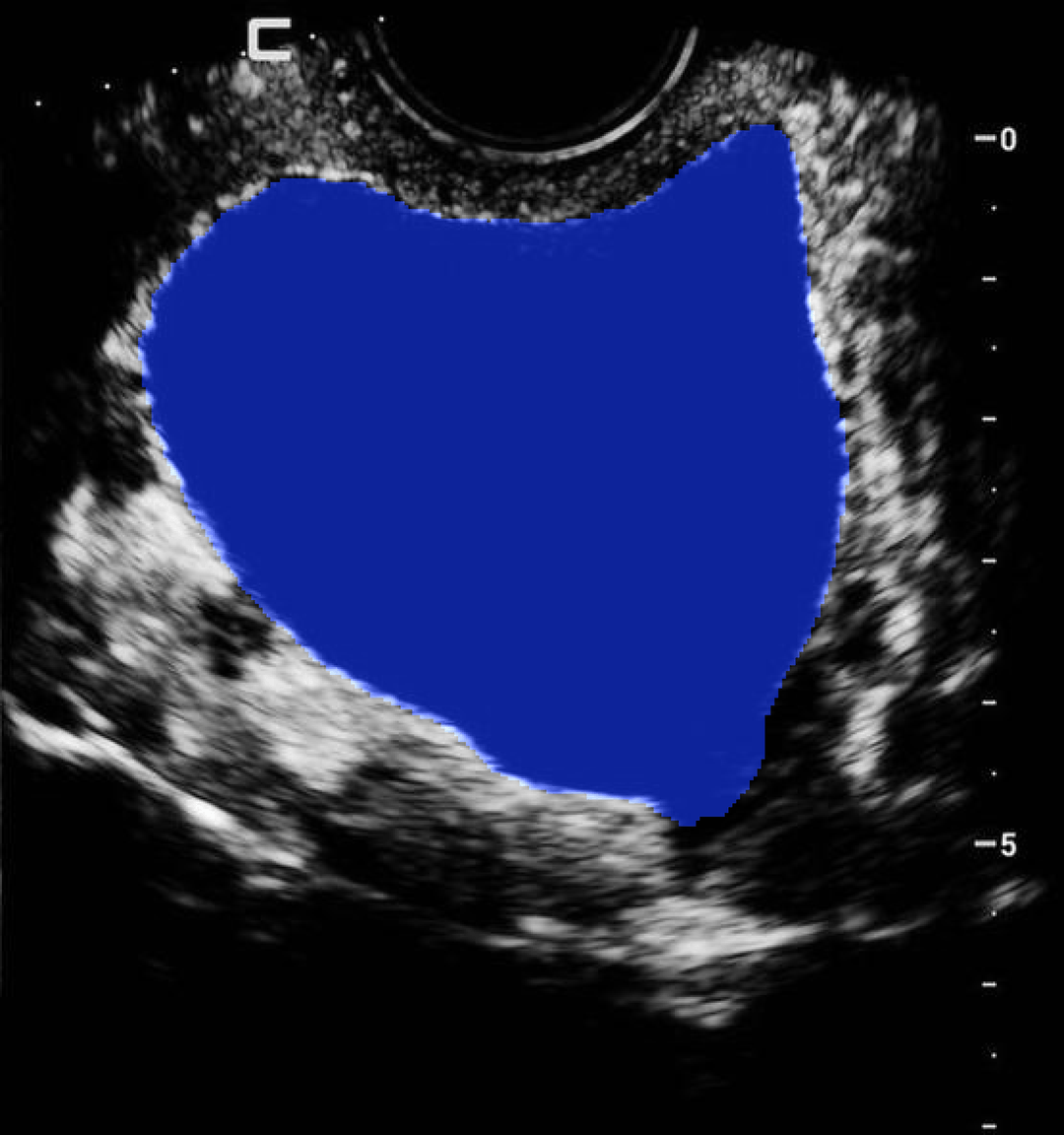 PRAID AI - AI-Powered Medical Imaging Platform