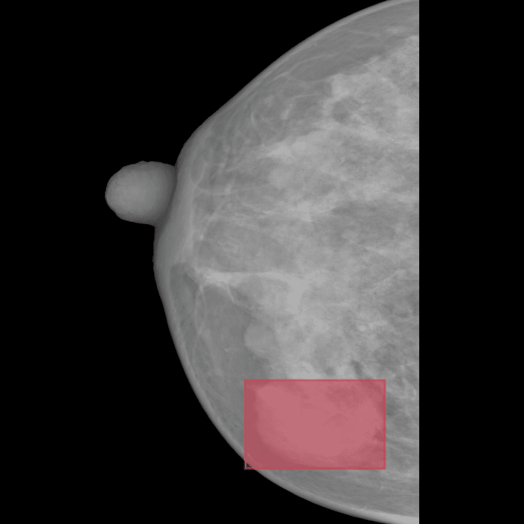 PRAID AI - AI-Powered Medical Imaging Platform