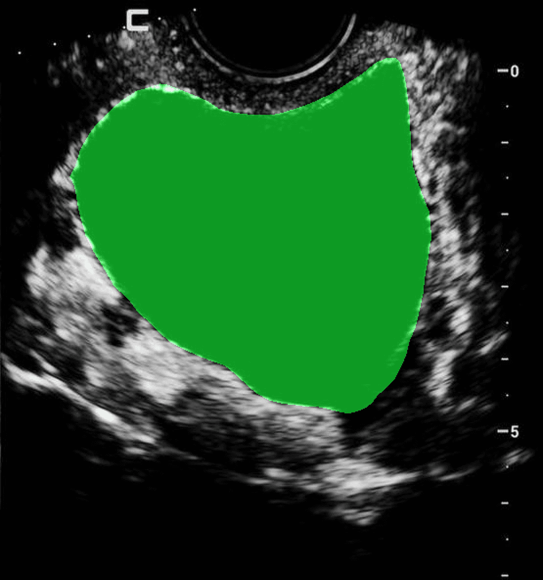 PRAID AI - AI-Powered Medical Imaging Platform